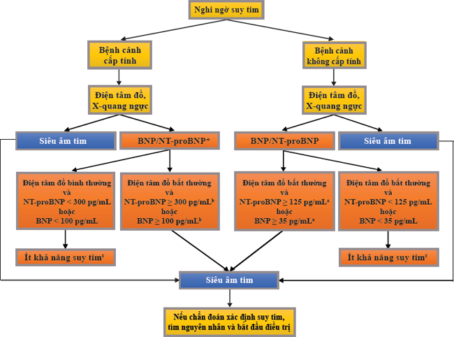 Chẩn đoán suy tim - Hội Tim mạch học Việt Nam
